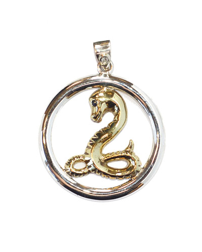 Silver and Bronze Snake Pendant For Female - Humaniversity